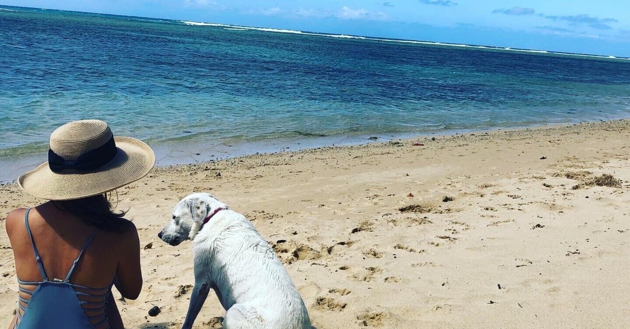 第二希望 ｜sunshine yoko