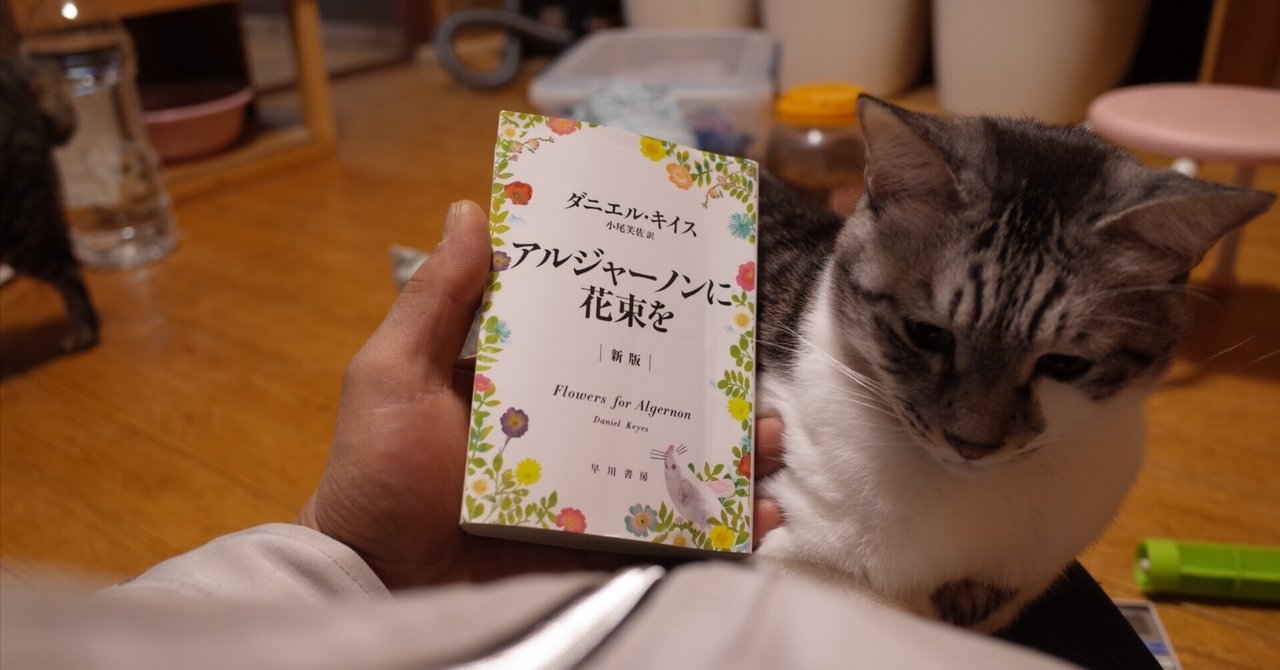 アルジャーノンに花束を(ダニエル・キイス)読書感想文|笠原 英二