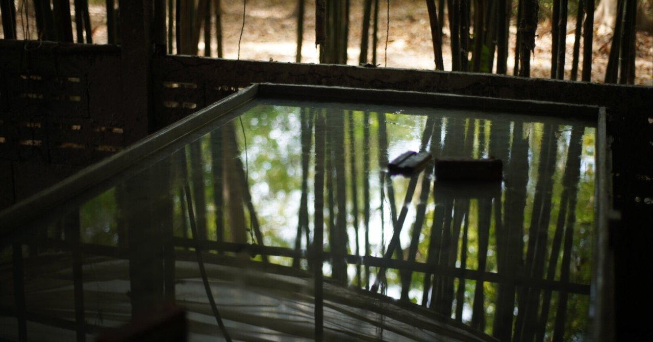 去年今年｜古川節子（Furukawa Setsuko)