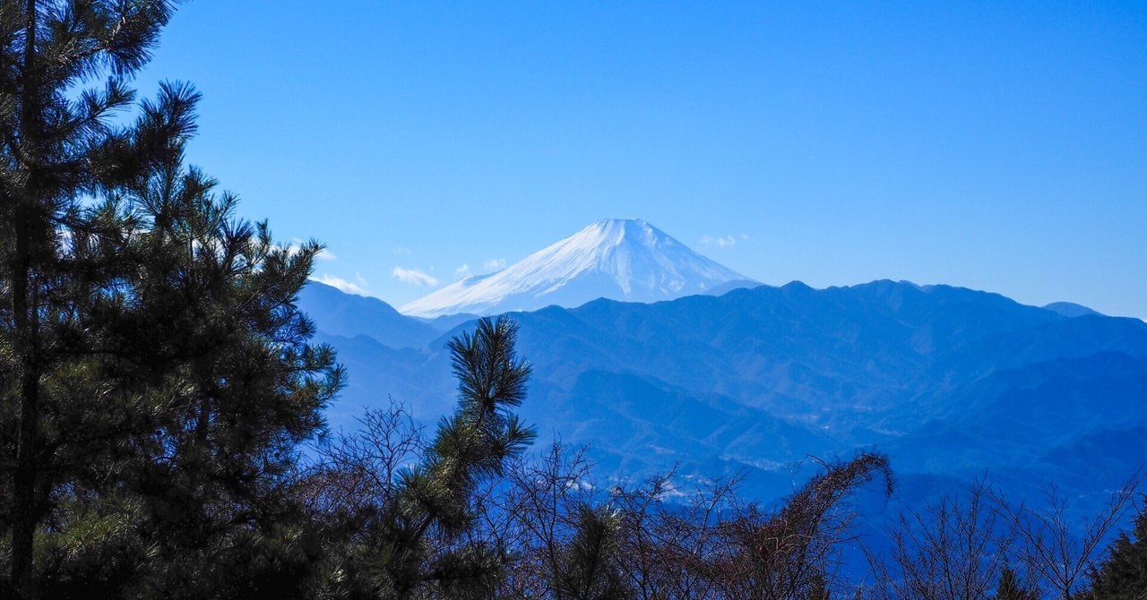 高尾歳時記 2024年1月5日（金）｜悠星 Yusei