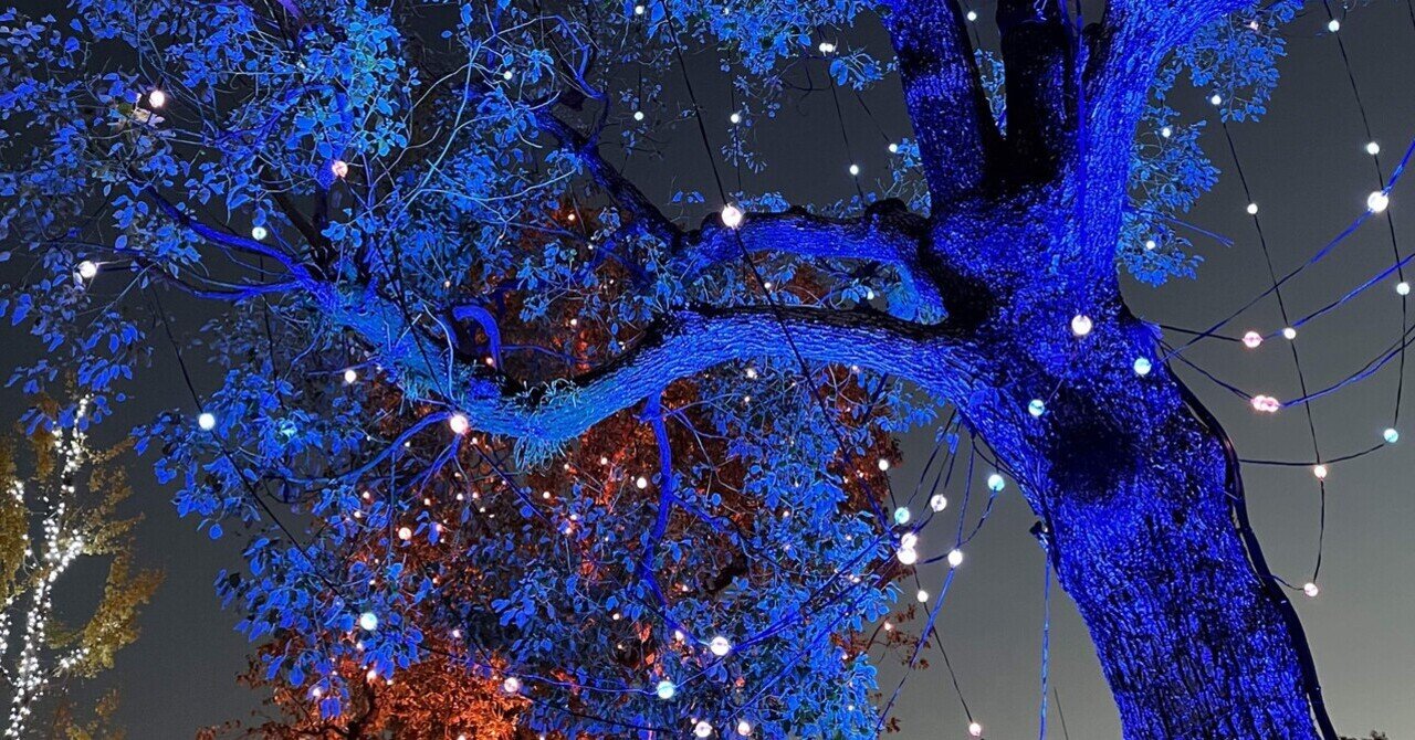 今夜は、、｜yukkey