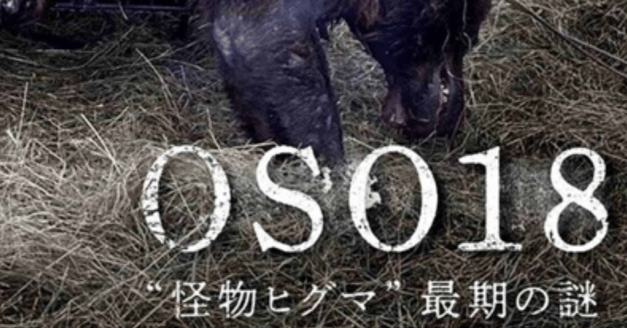 『OSO18 "怪物ヒグマ"最期の謎』 NHK｜栞