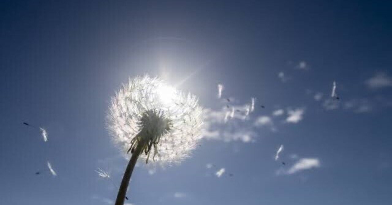 SCP初心者に勝手な宿題｜ななし君