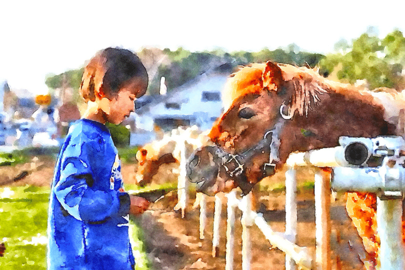 4- 息吹と鼓動と｜AKIRARIKA