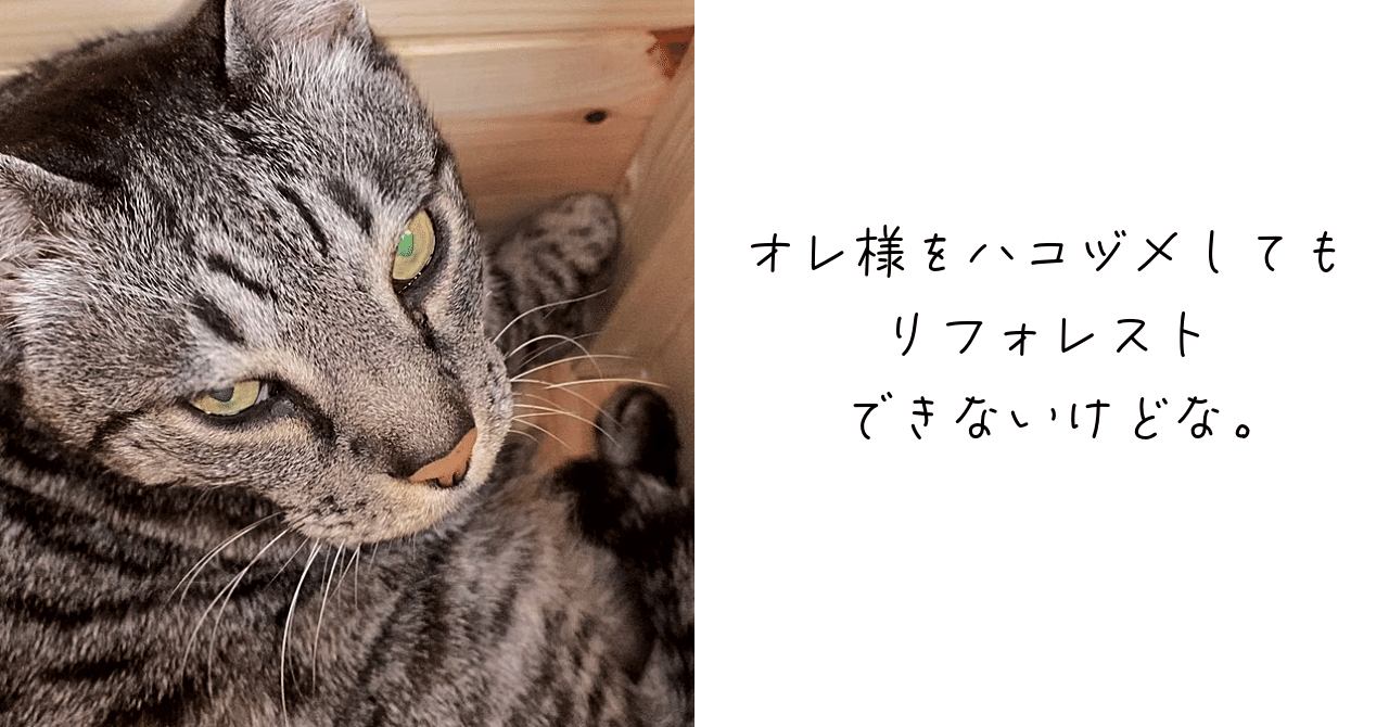 リフォレスター、プロトタイプの失敗。それは成功の母。｜Ms'HIRO