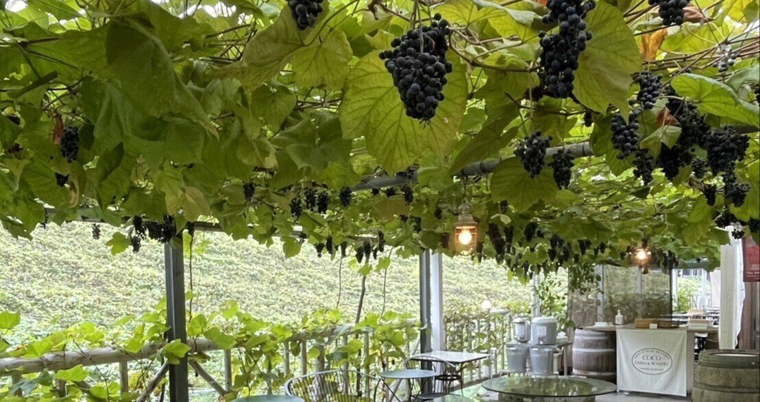 Goopa 発達の気になる子と楽しむイベントサークル｜note