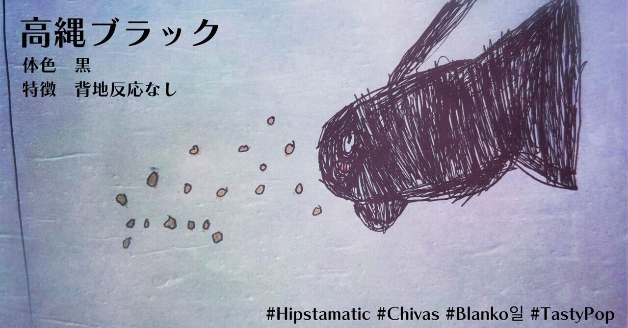 高縄ブラック｜MKD.023