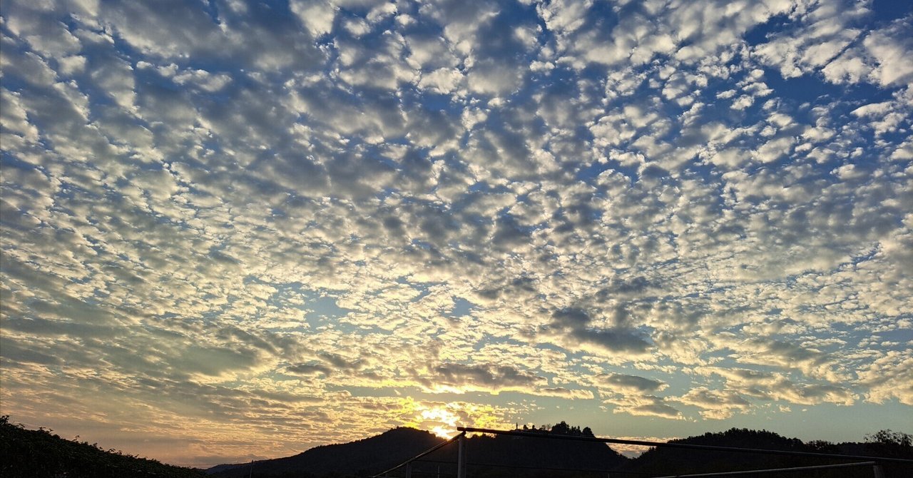 御慶｜古川節子（Furukawa Setsuko)