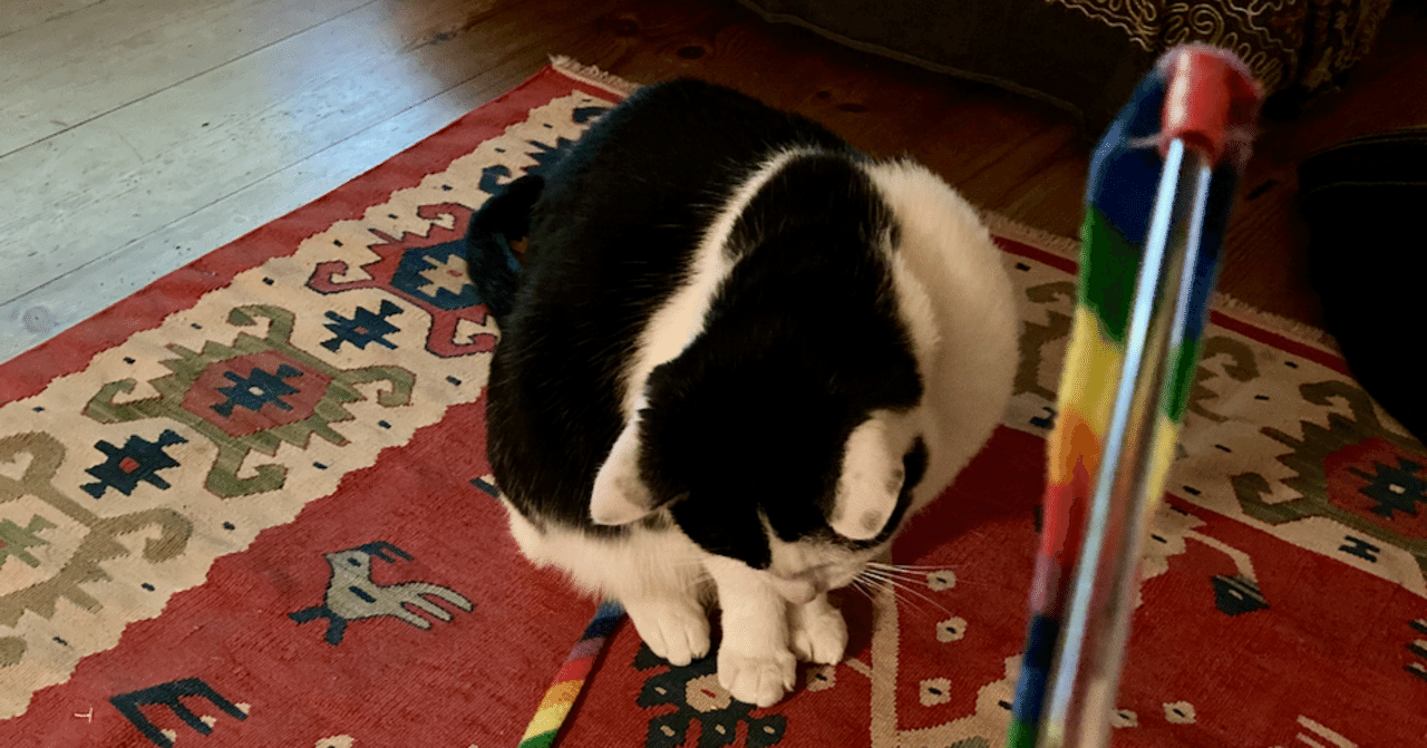 TWSNMP MV開発8日目：Svelteのstore機能を使って画面更新の処理を美しくした｜twsnmp