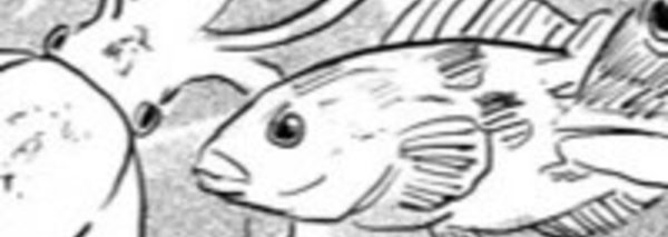 maruyan｜atelier VIVICO｜note