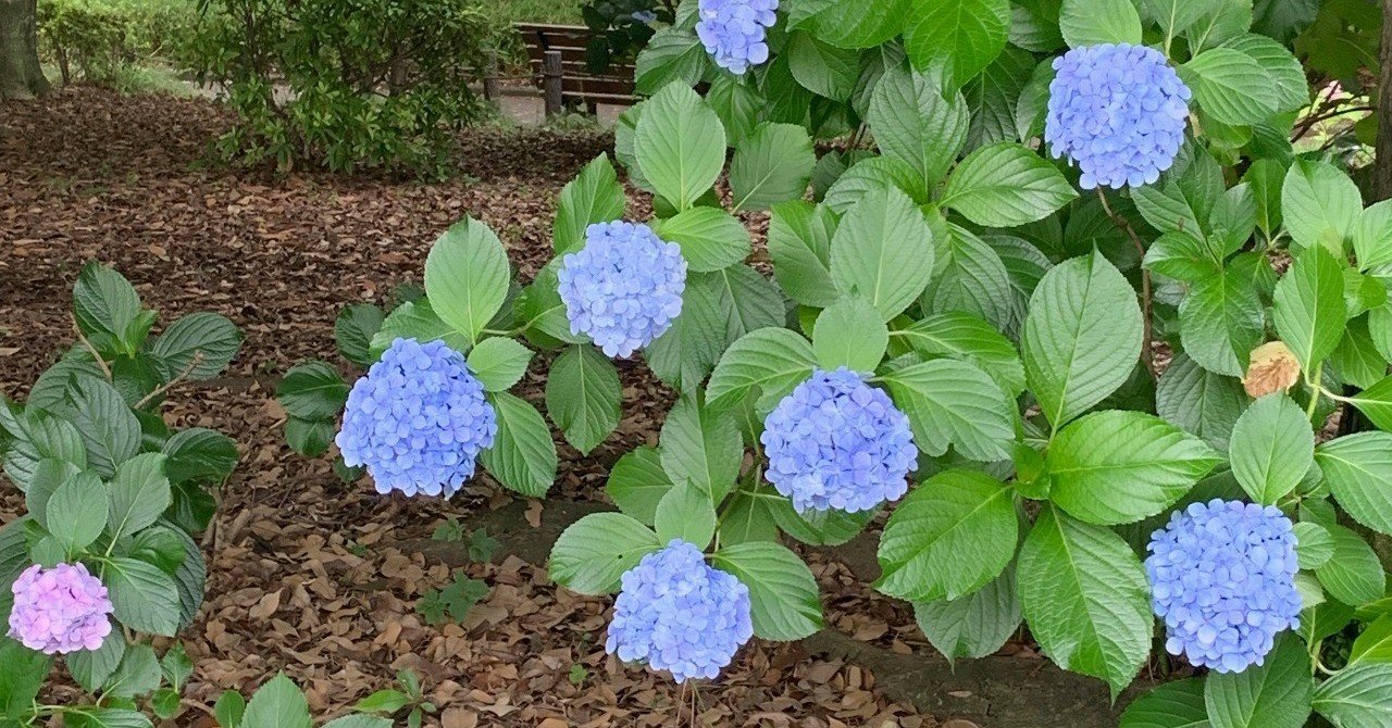 『考えたり、まとめる仕事は？！』毎日、全力疾走!?橋本ドンの「賃貸管理 生レポート」｜brigebookdon 管理レポート｜note