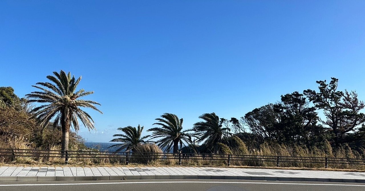 ☆355☆ ツーリング始め 強風の伊豆半島ぐるり一周｜からむし座