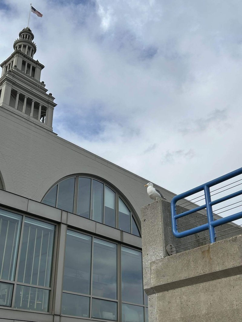 サンフランシスコ旅行記2 街歩き。フェリービルディングやPier 39など、海沿いを中心に散策。｜YASUHIRO SAN