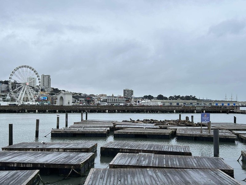 サンフランシスコ旅行記2 街歩き。フェリービルディングやPier 39など、海沿いを中心に散策。｜YASUHIRO SAN