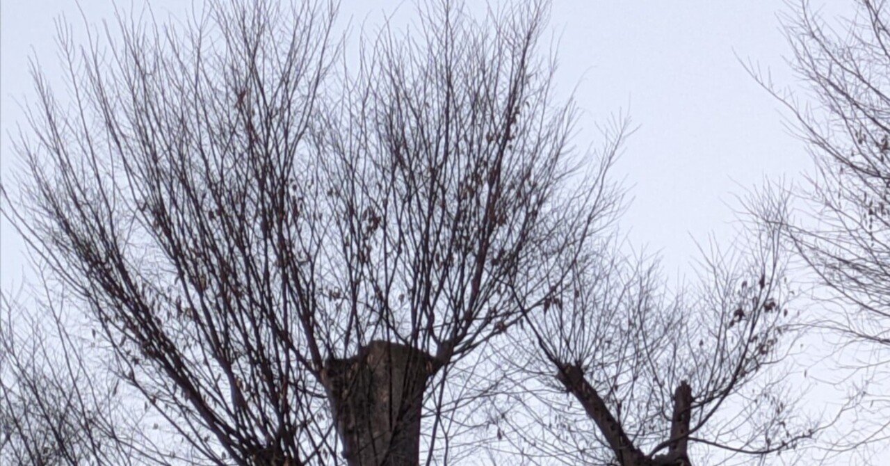 2巻146番〜作者 柿本人麻呂｜ichiro70