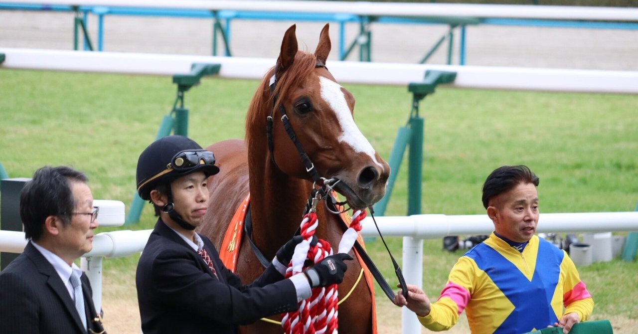 【京都金杯（G3）回顧~その先へ】血統篇｜Haya