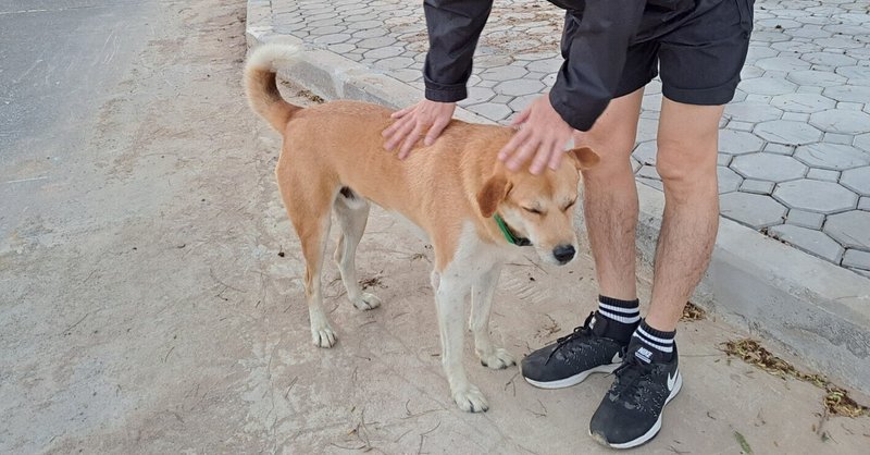 弾初｜古川節子（Furukawa Setsuko)