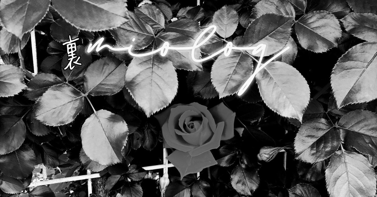 裏miolog(1)｜春原美桜(miosuhara)