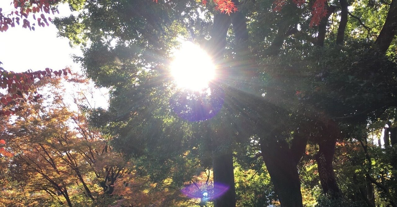 昨今のエネルギー｜Artemis