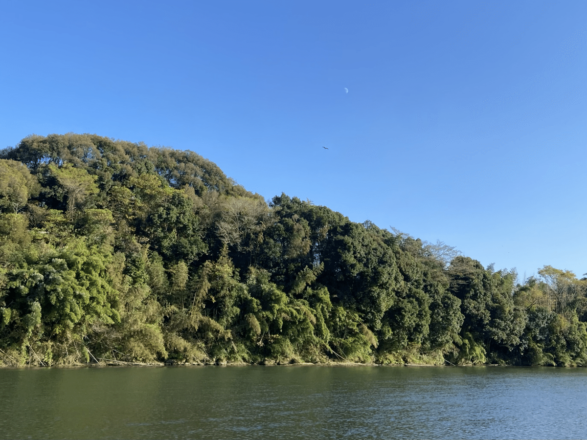 さつま町へ移住して4ヶ月。その暮らしについて語る会！(前編)｜タグチカナコ｜Kanako Taguchi