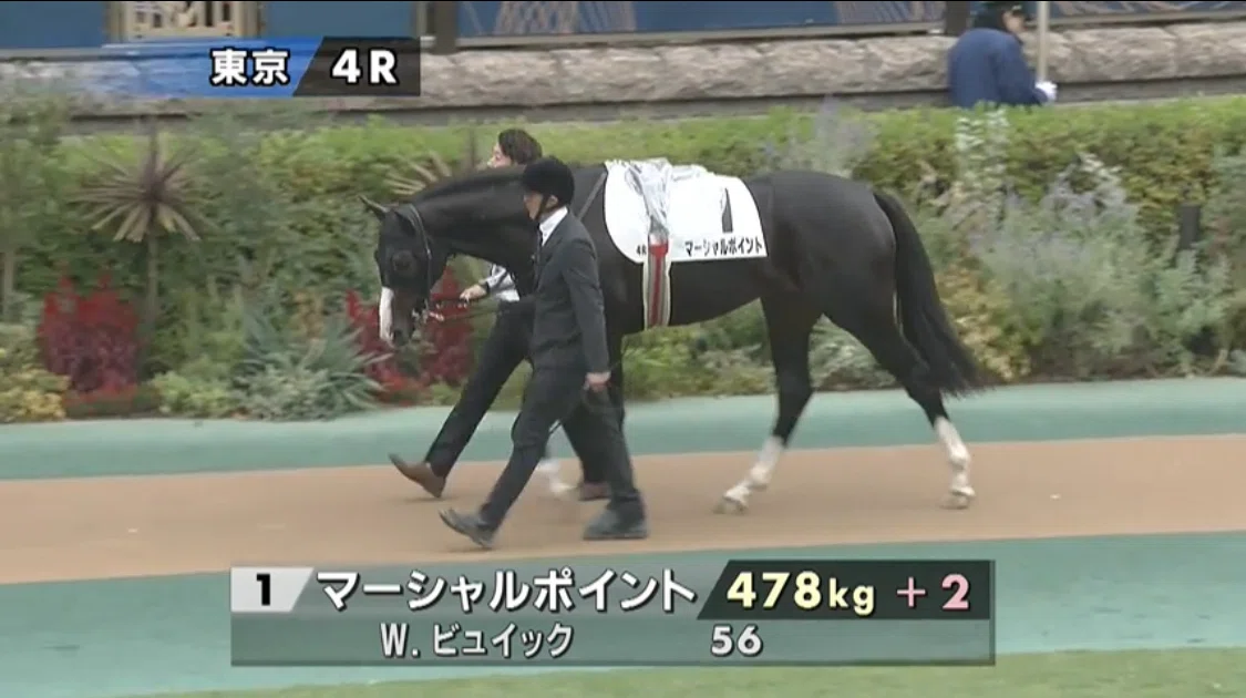 期待のクラシック級3歳馬｜ruis