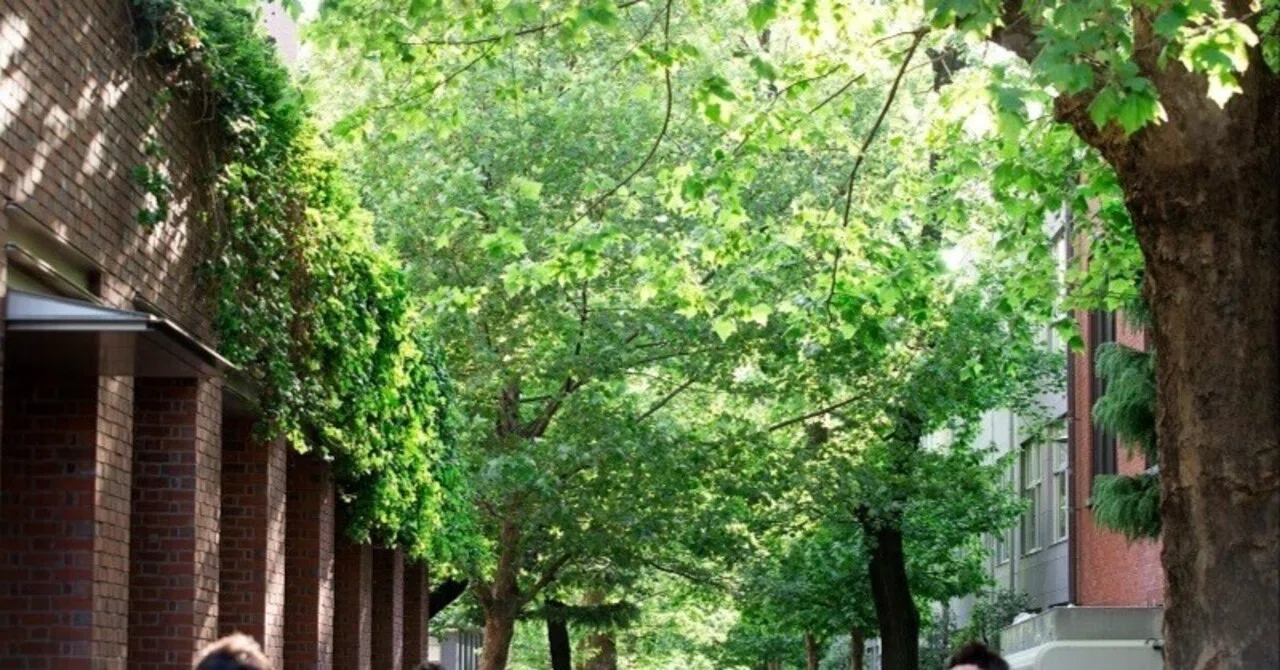 大学生の時にやり残したこと｜mimen