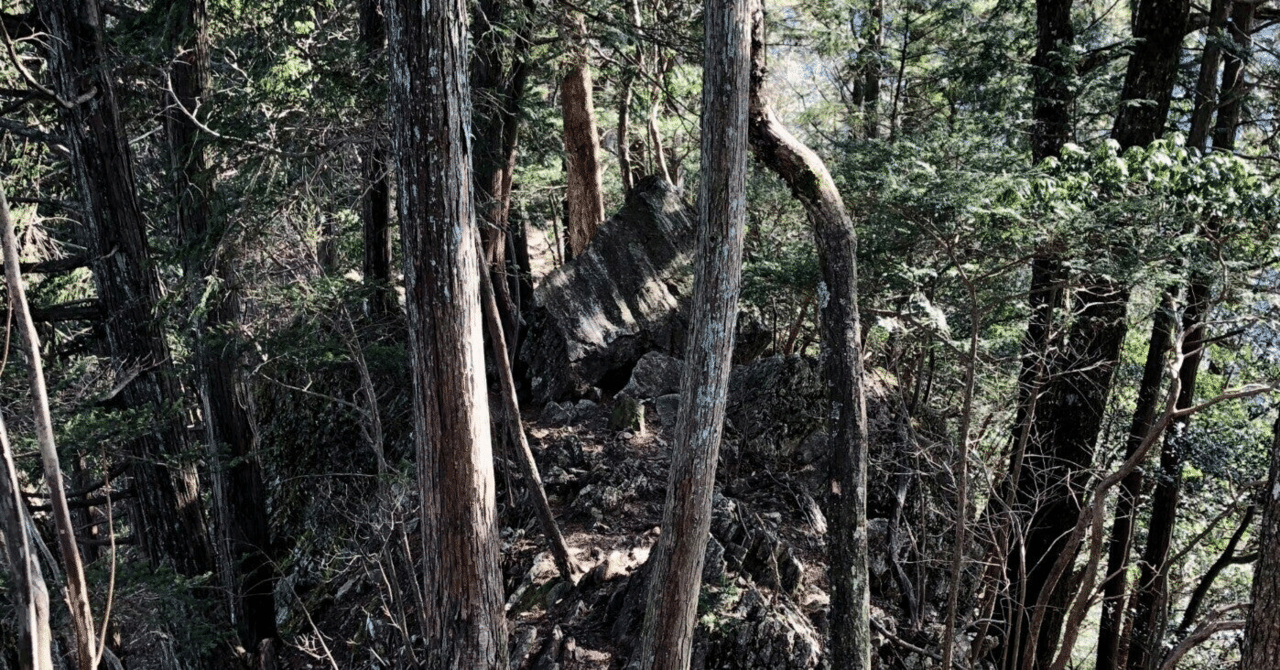 知足｜Makot（まこっちゃ）