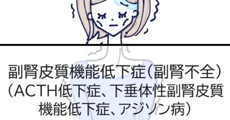 【完全公開はnoteだけ】サクッとまるわかり!副腎皮質機能低下症(副腎不全)の看護診断(acth低下症、下垂体性副腎皮質機能低下症