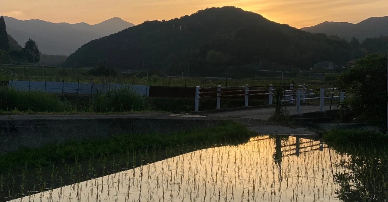 令和5年6時2日金曜日(旧暦卯月十四日)｜nakano michiko