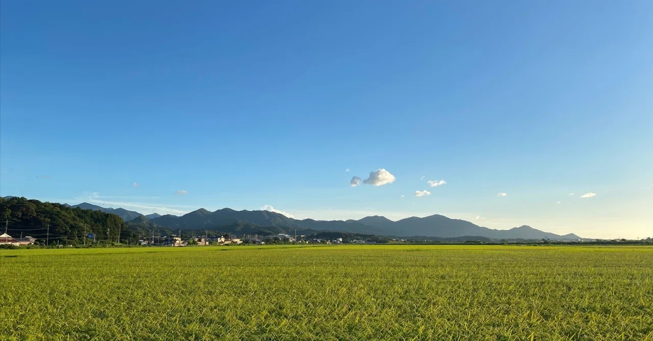 令和5年7月19日水曜日(旧暦水無月二日)｜nakano michiko