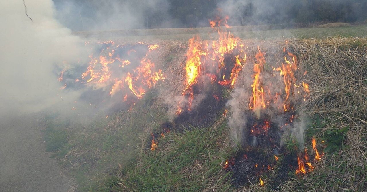 令和5年7月31日月曜日(旧暦水無月十四日)｜nakano michiko