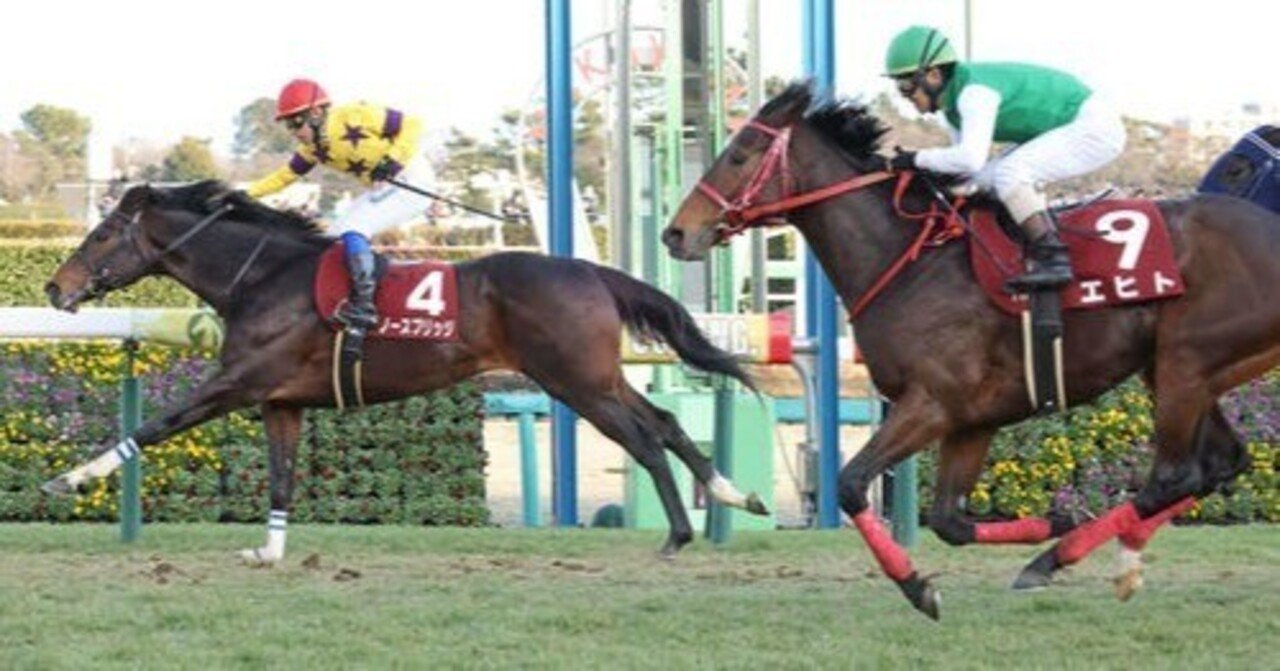 【2024 アメリカJCC（G2）】日刊馬番コンピ指数分析予想篇｜Haya