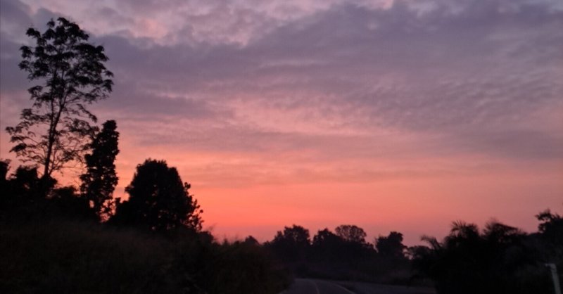 寒暁｜古川節子（Furukawa Setsuko)