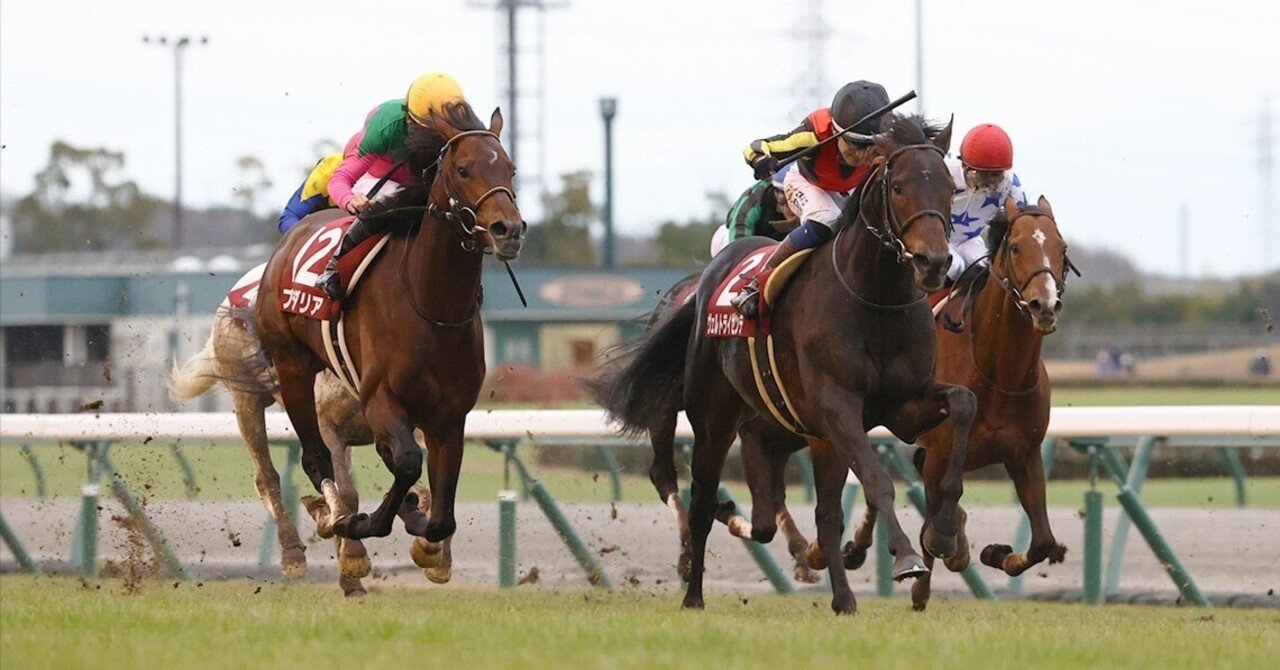 1月13日 枠連投資馬券塾 小倉11r 愛知杯(g3)芝2000m|枠連投資億を稼ぐ馬券術!現役馬主