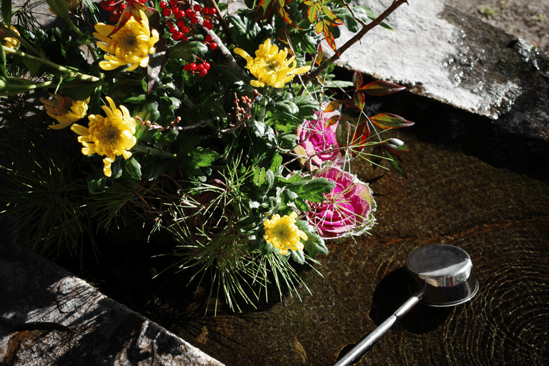 20240113_今年もカメラを持ち歩く【GR3】｜ゆっこ13