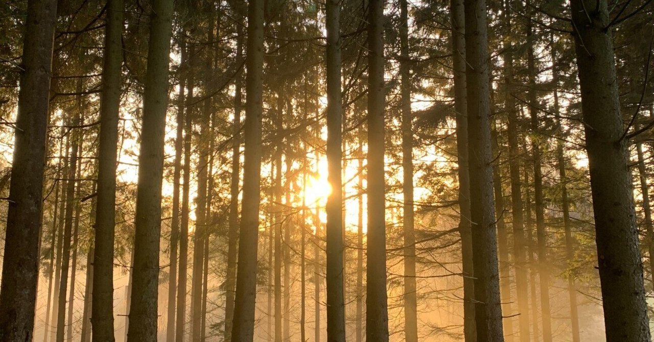 人生の目的はよろこび｜mami atelier ZEN