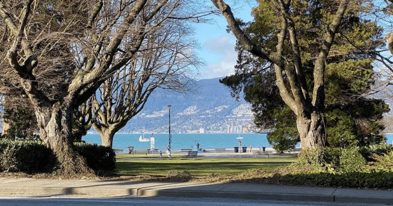 自己紹介｜Miyabi