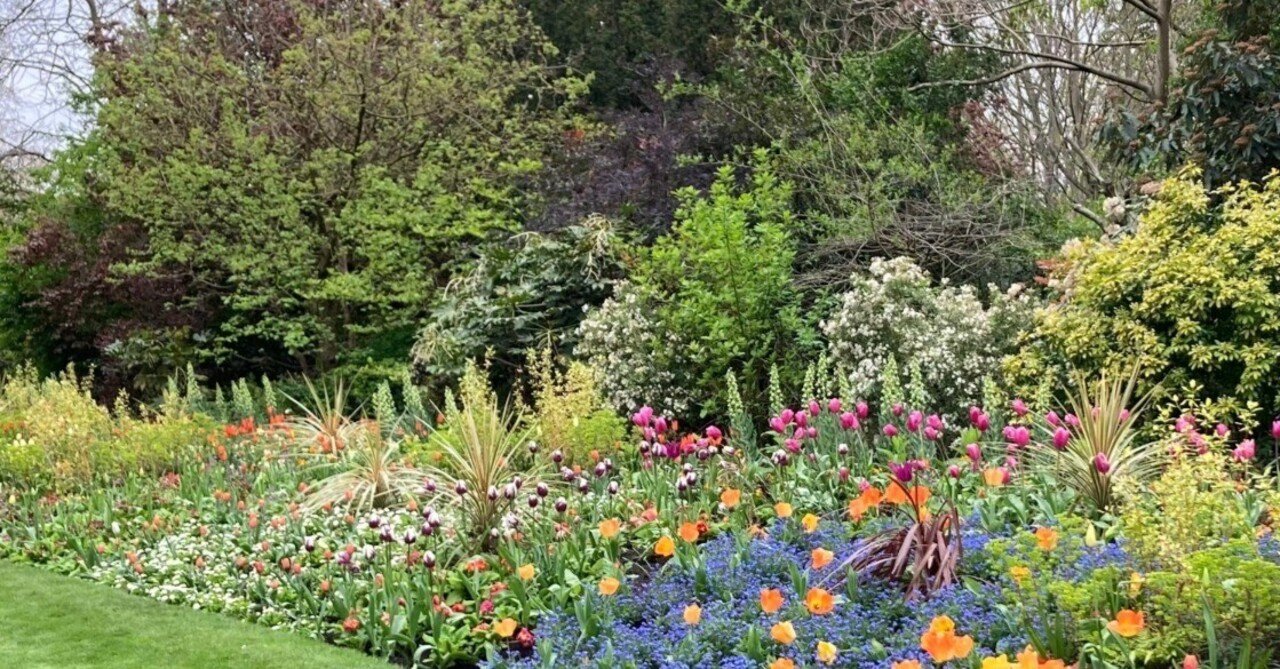 予想と違うこと｜Atsuko