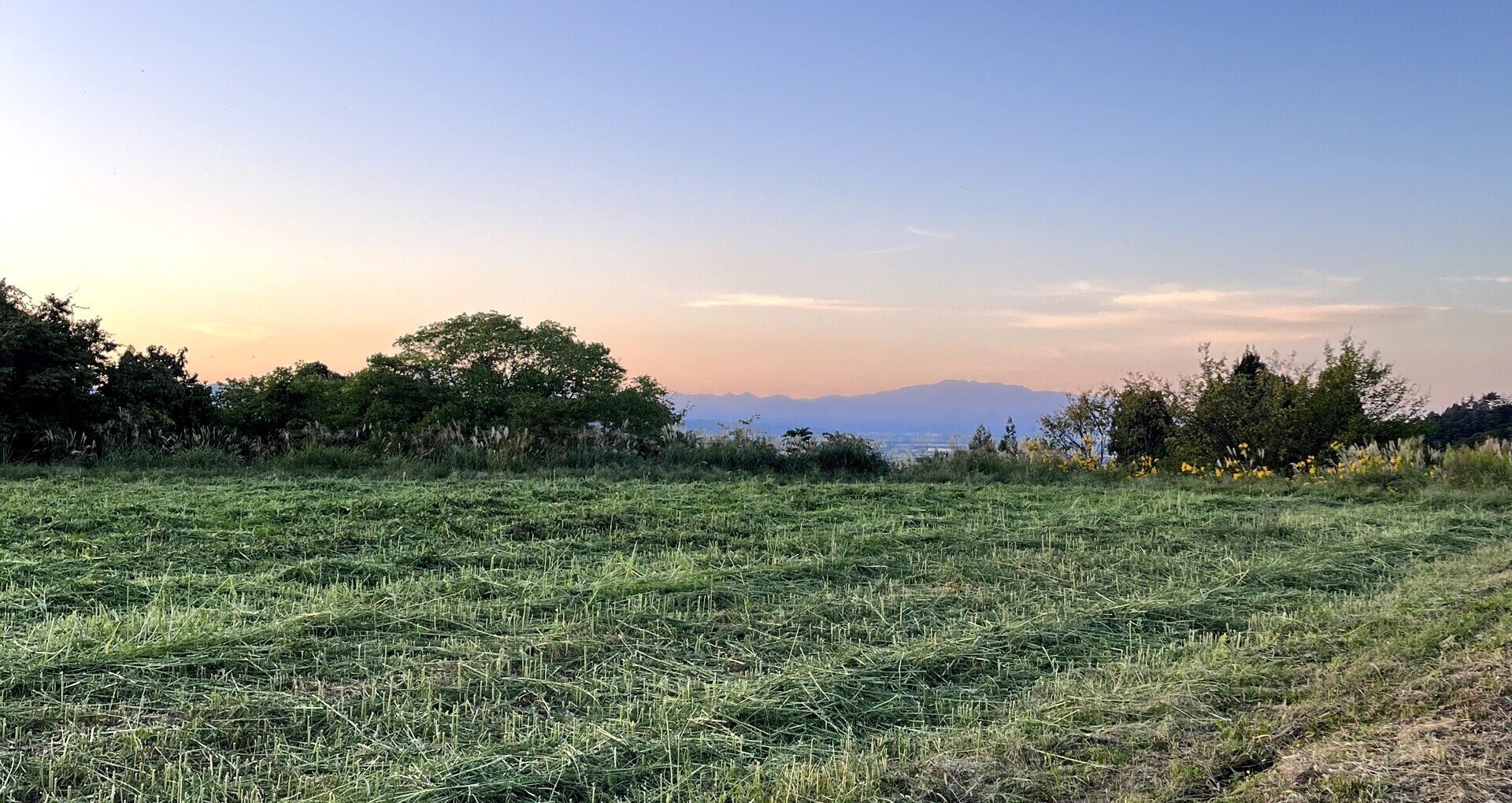 Shinta Ninoto｜note