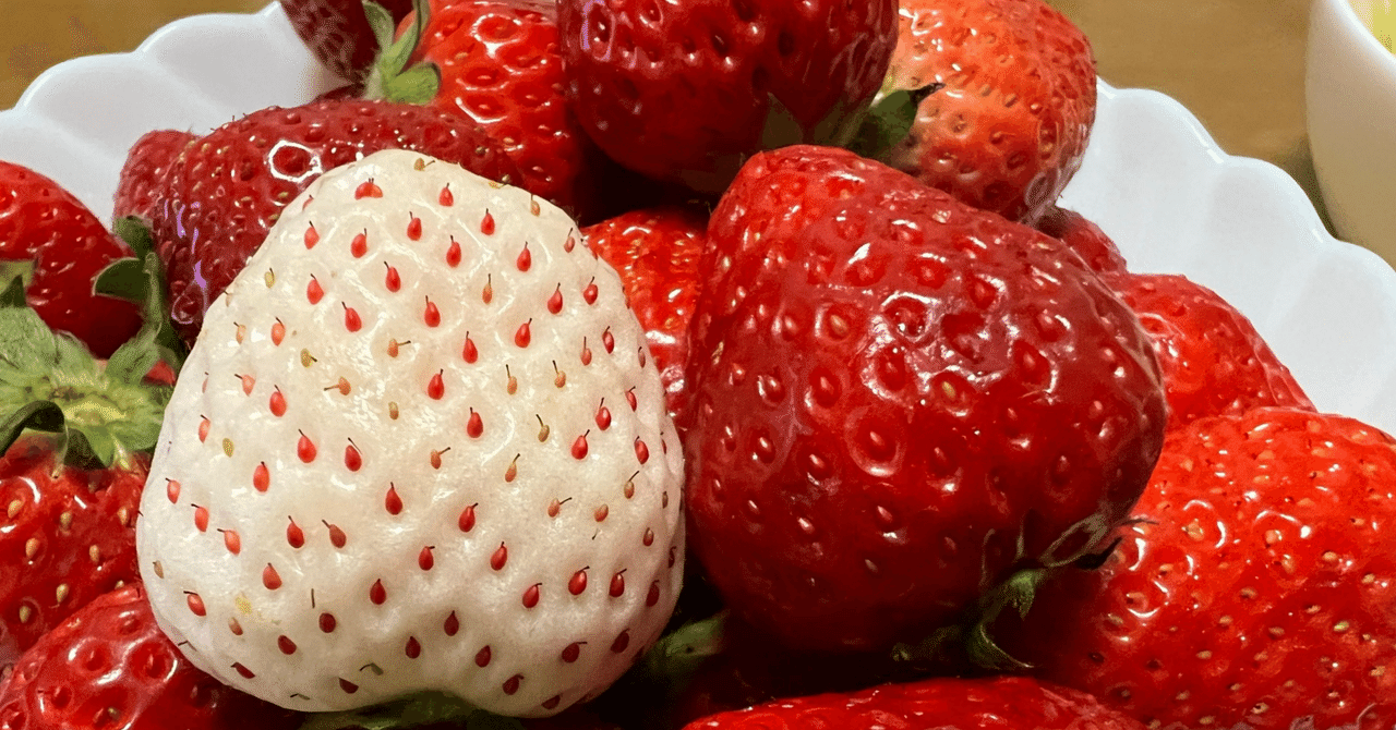 イチゴは追熟しない｜松田祐樹＠MD-Farm