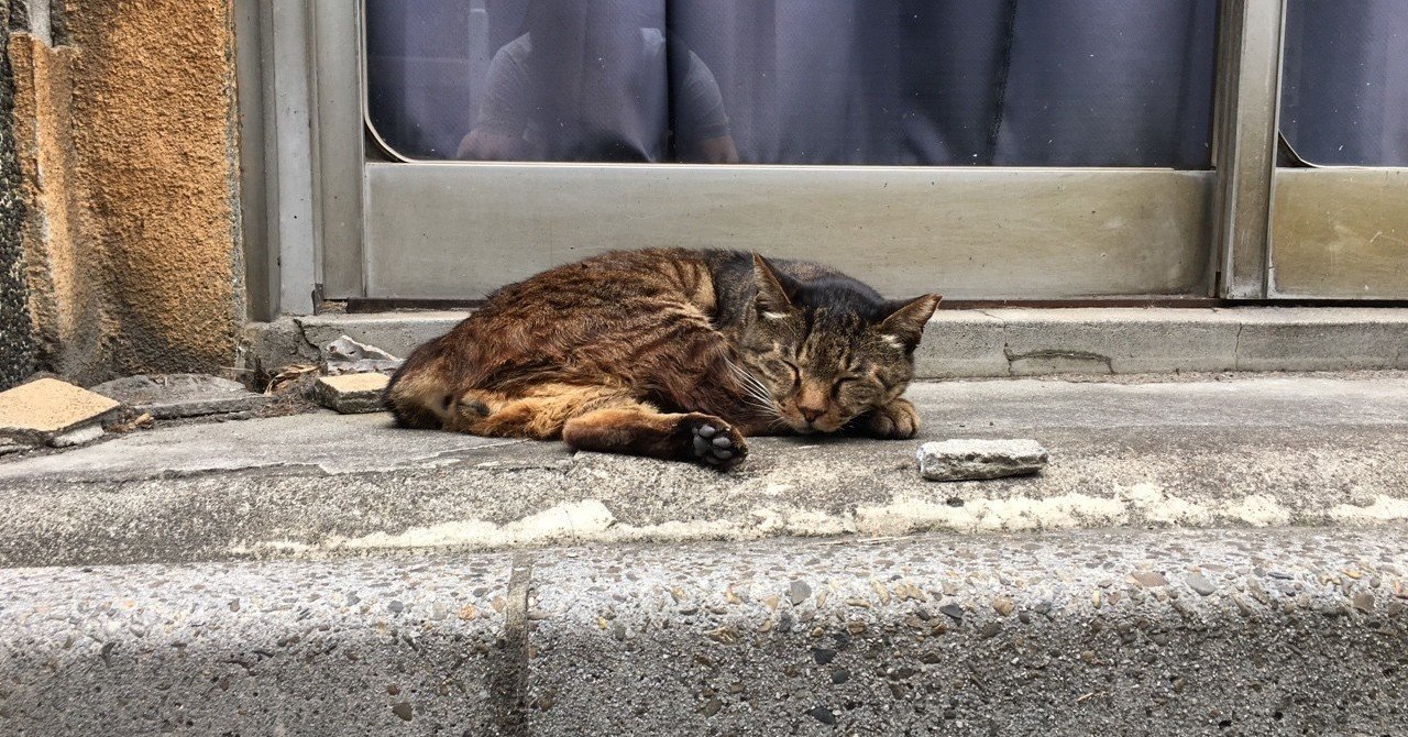 村里健太 | 株式会社Brickberg代表｜note