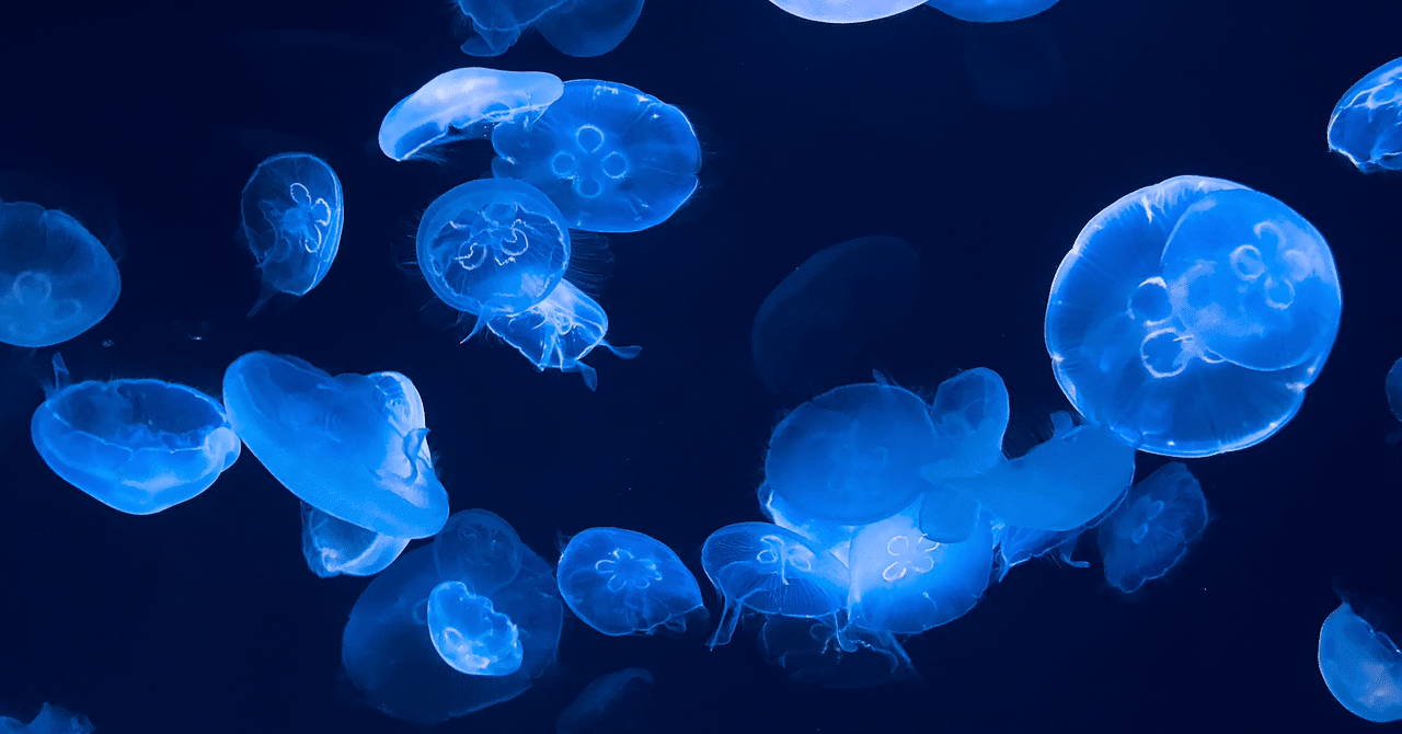 川村元気 Genki Kawamura｜note