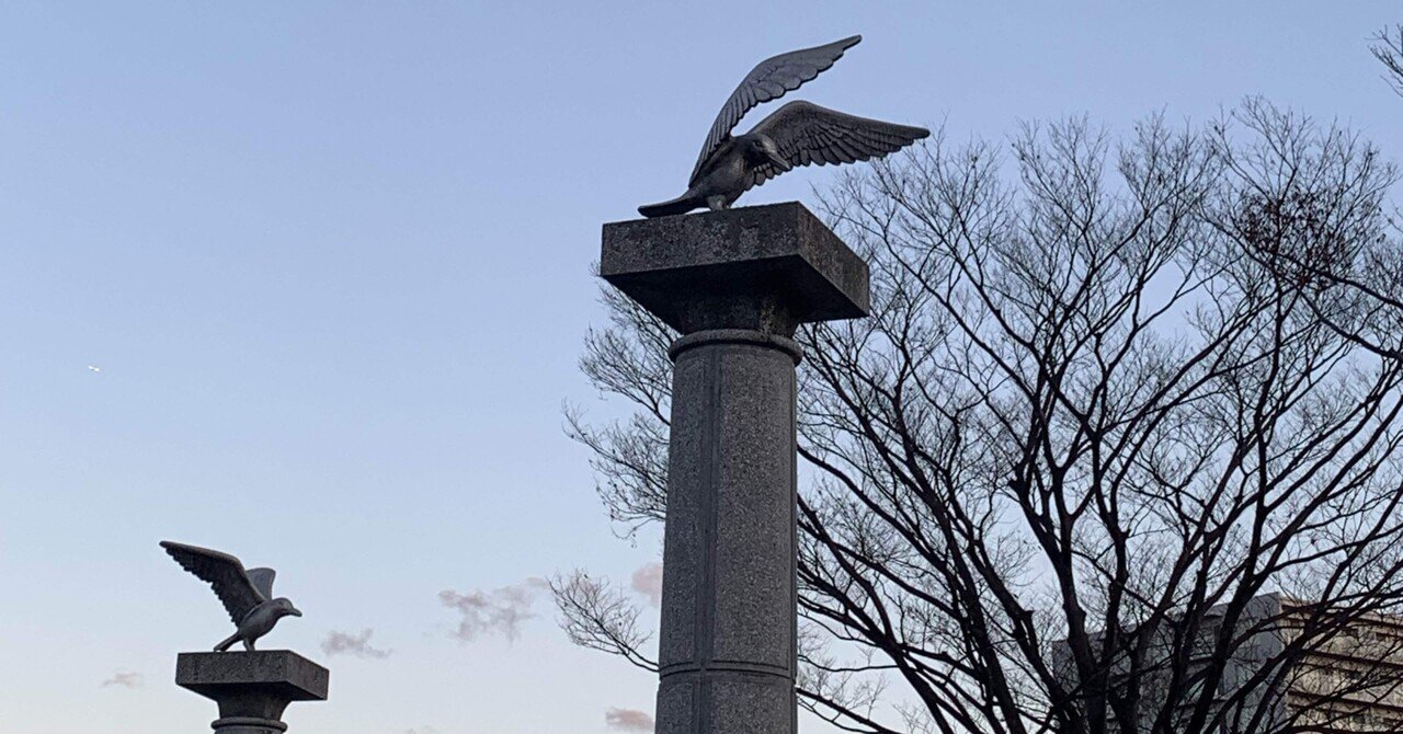 シーズン25 DAY27☀️｜まり蔵