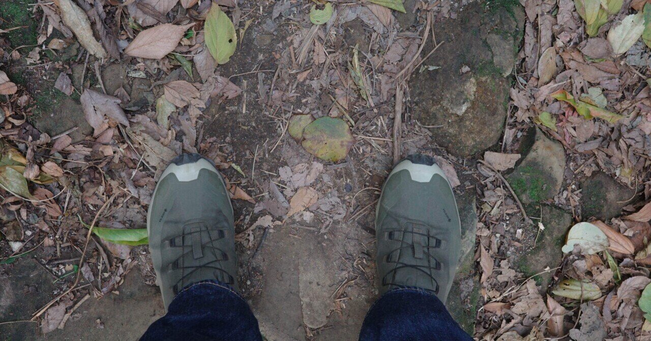 2024.1.15 🚶‍♂️｜shirasu camera