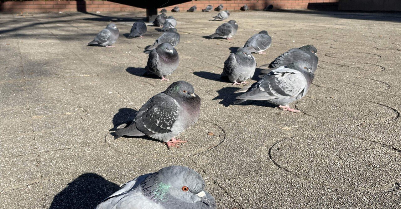 ライバル？味方？いやいや、戦友でしょう。｜よりみち|自家焙煎ショップ