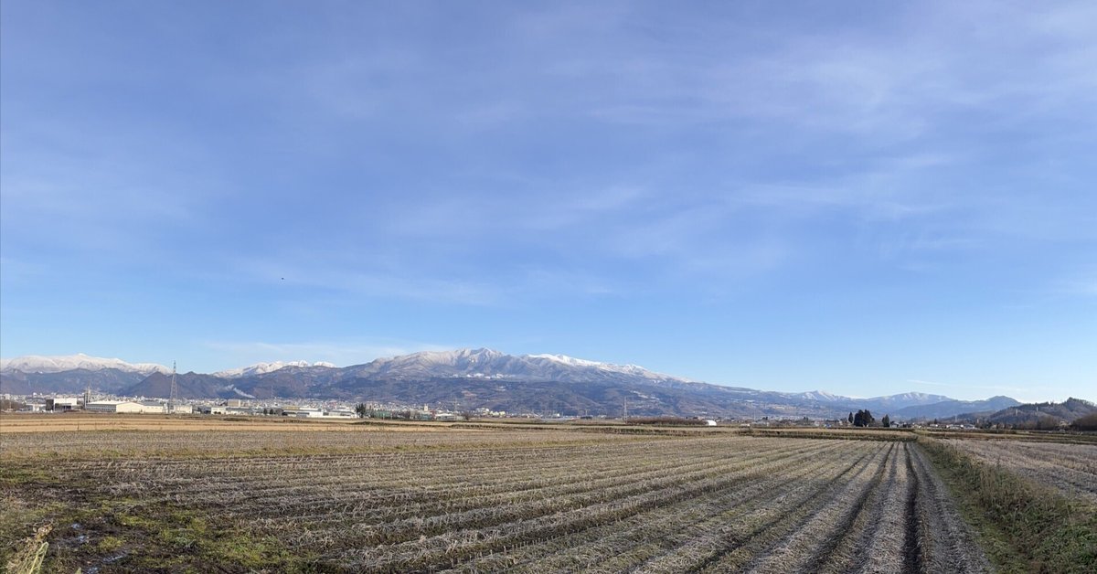 私について #1｜Shinta Ninoto