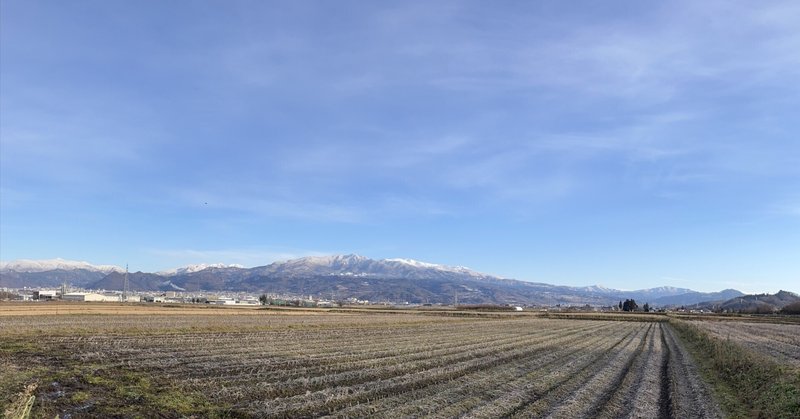 私について #1｜Shinta Ninoto