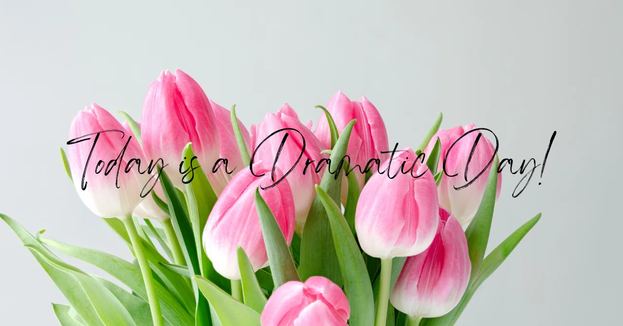 TODAY IS A DRAMATIC DAY ! について｜DRAMATIC BASIC LLC.