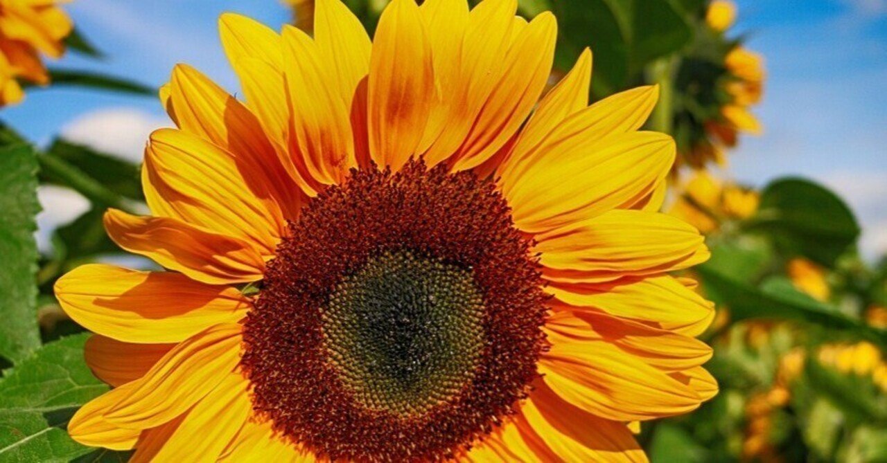 自分を生かす、活かす。｜スピリットメッセンジャー Chiyoko ちよこ音色