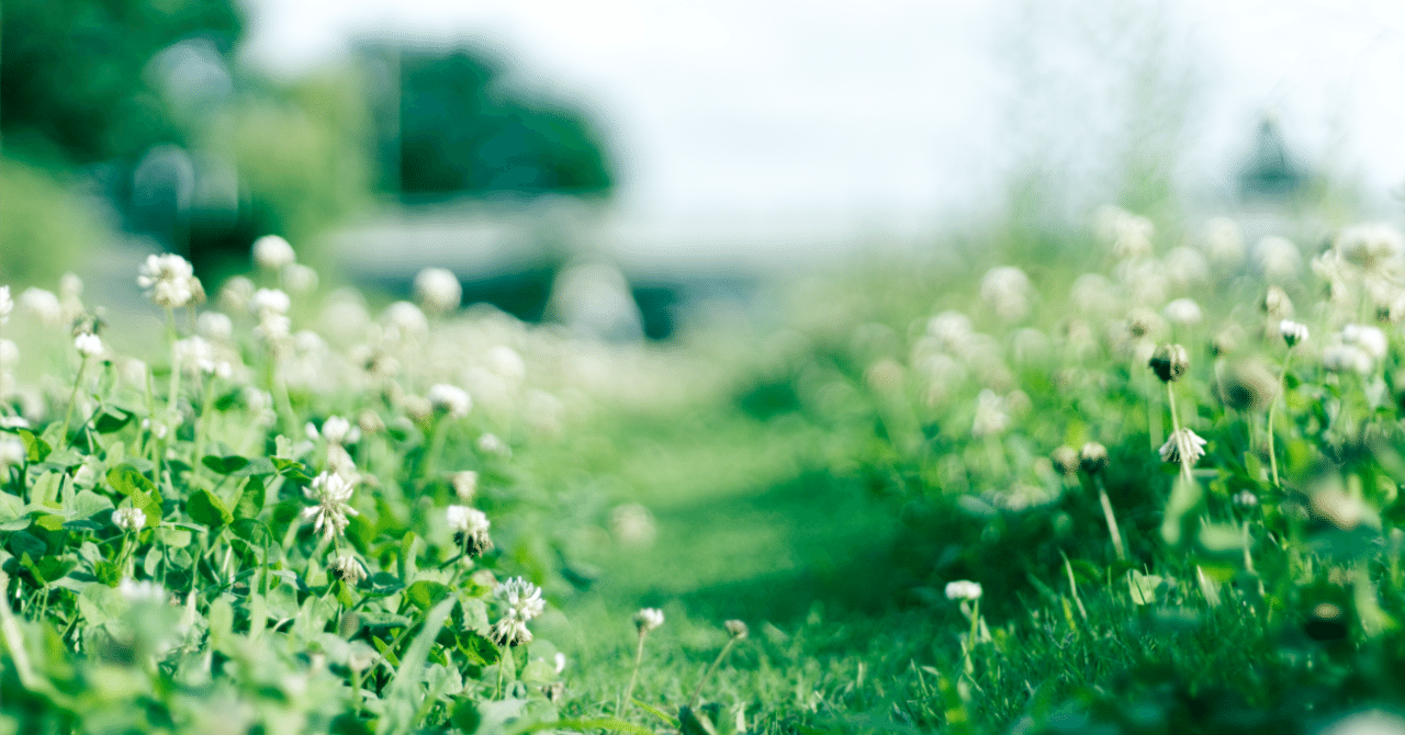 【連載小説】小五郎は逃げない 第5話｜鈴々堂/rinrin_dou@ゆりぱせり🎈